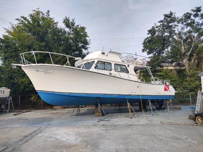 Newton 46’ Dive Special - Boats for Sale - Seamagazine