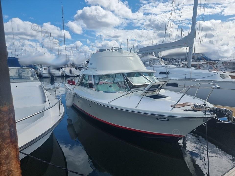 Bertram RIVA BERTRAM 25 SPORT FISHERMAN - Boats for Sale - Seamagazine