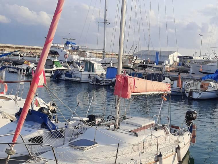 Puma 23 - Boats for Sale - Seamagazine